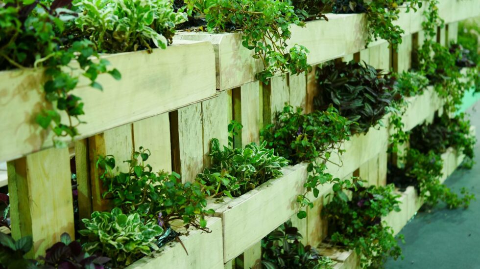 Potager vertical : guide de création pour un petit espace extérieur